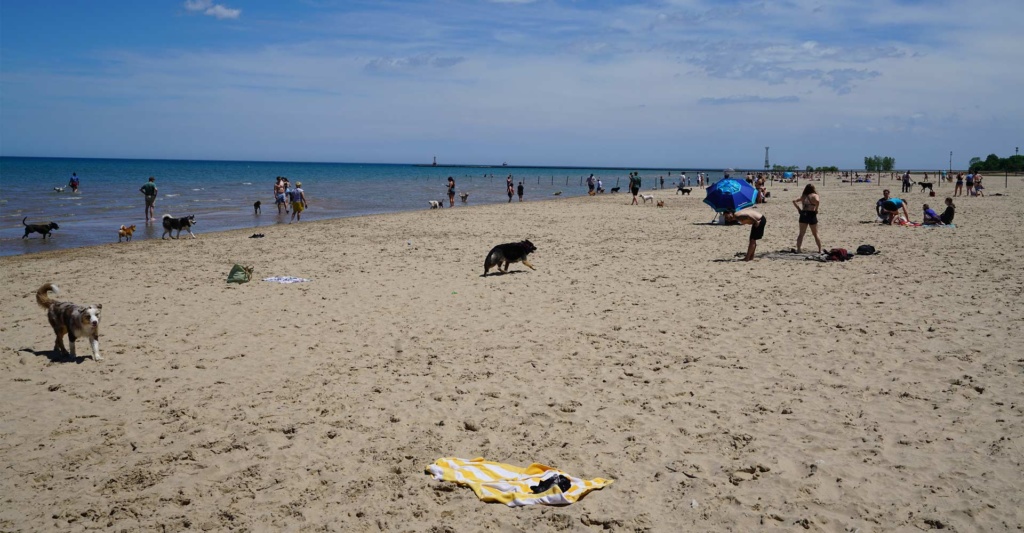 Times Square - Chicago Rentals