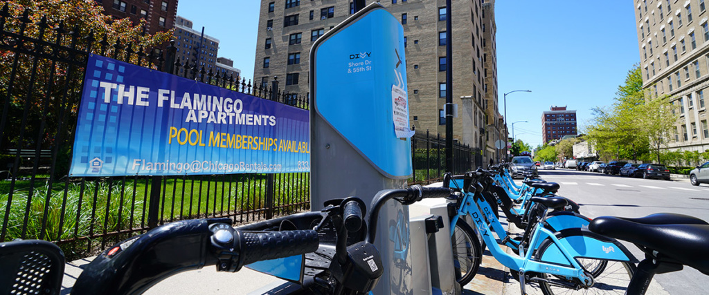 The Flamingo - Chicago Rentals