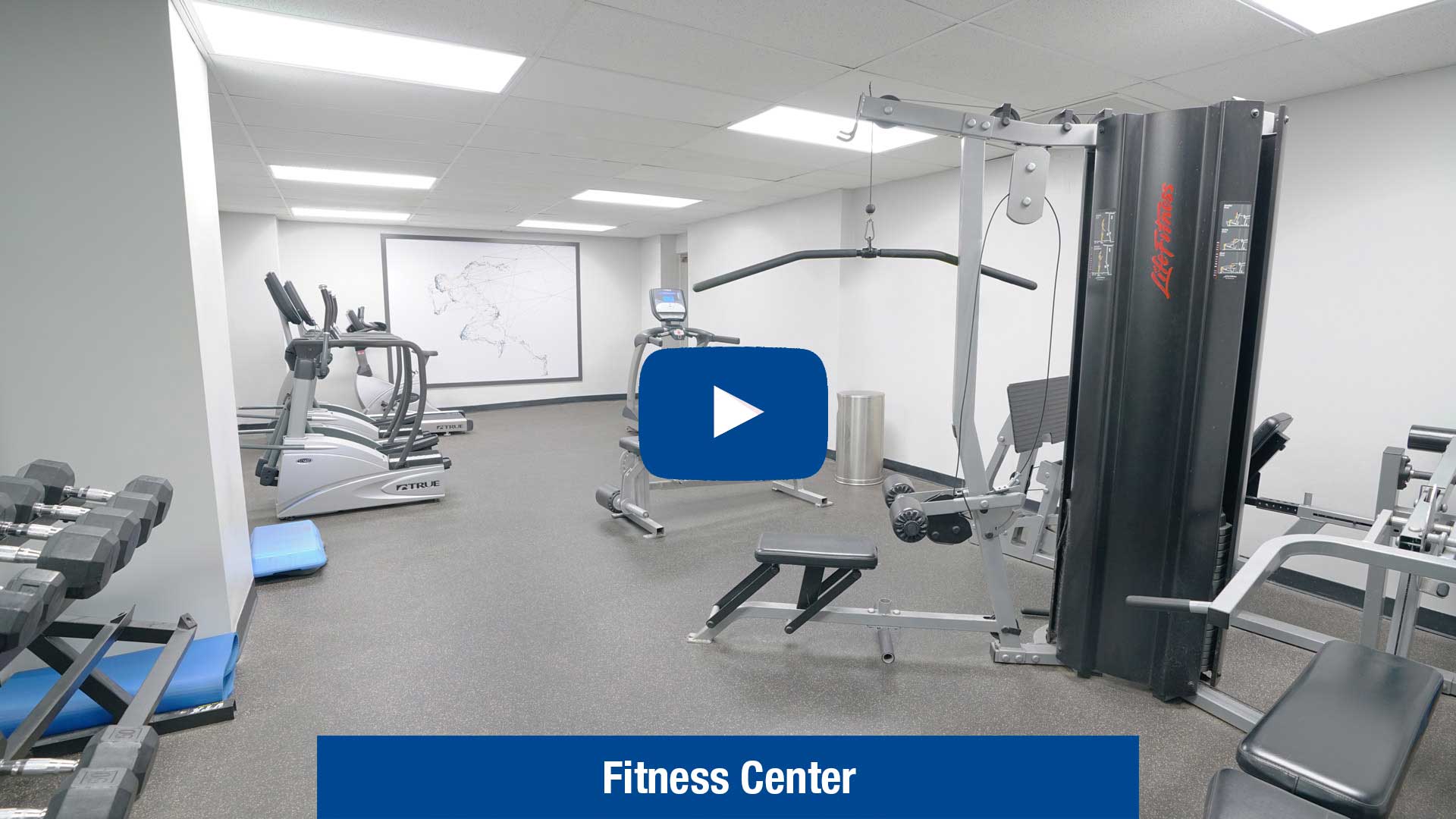 Madison Park Apartments – Apartments for Rent in Hyde Park | Chicago ...
